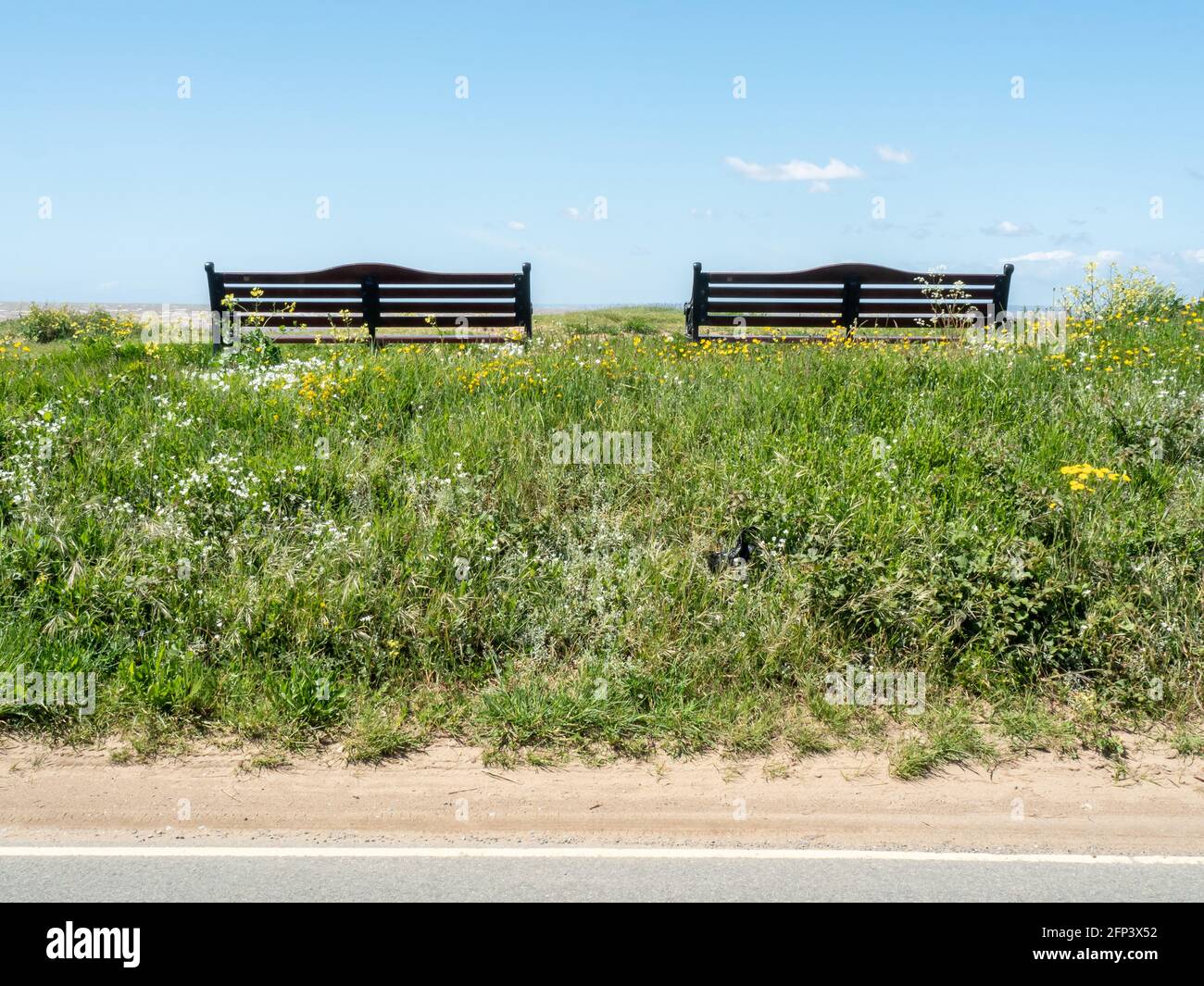 A pair of wooden benches, surrounded by beach grass, looking out across ...