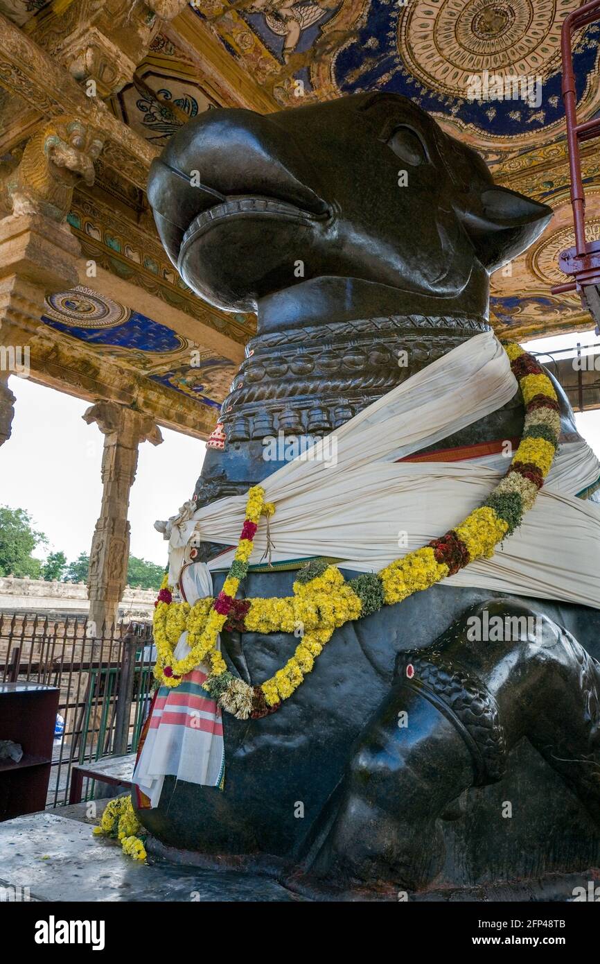 Brihadeeswara Temple Nandi