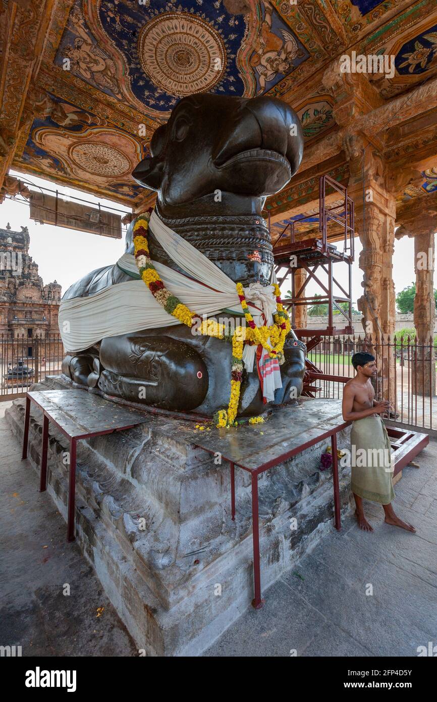 Nandi mandapam (sacred cow) at the Brihadishvera Hindu Temple in the ...