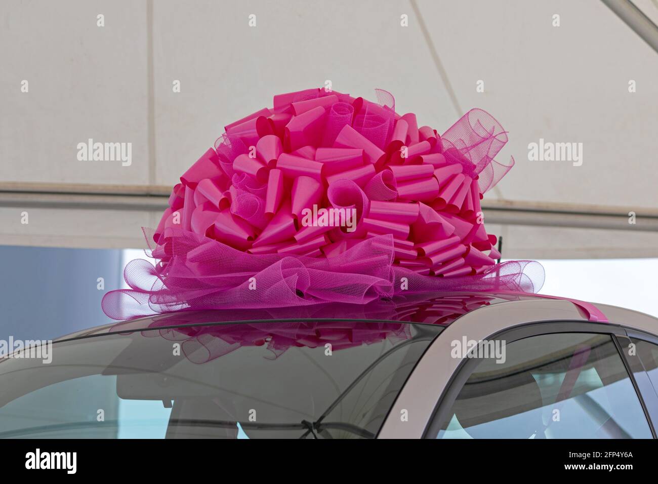 Big Pink Flower Bow Ribbon at New Car Gift Stock Photo - Alamy