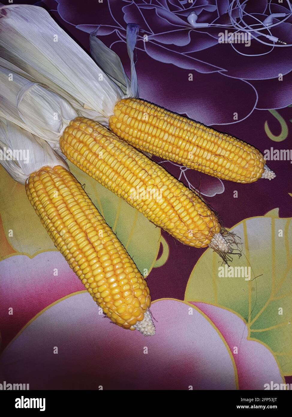 The beautiful maize popcorn grain Stock Photo - Alamy