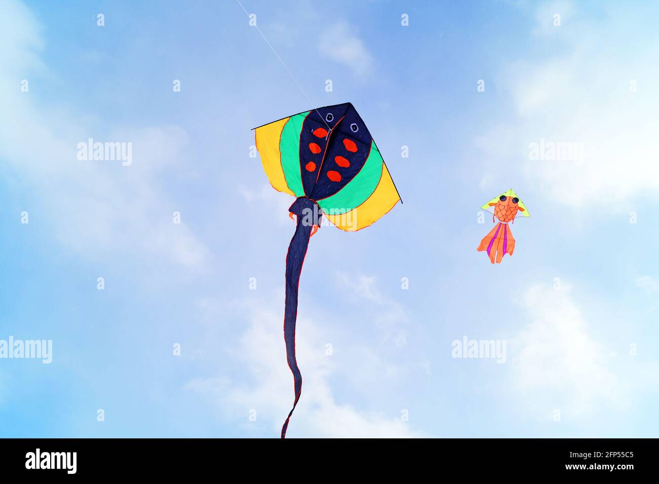 Wind fly hi-res stock photography and images - Alamy