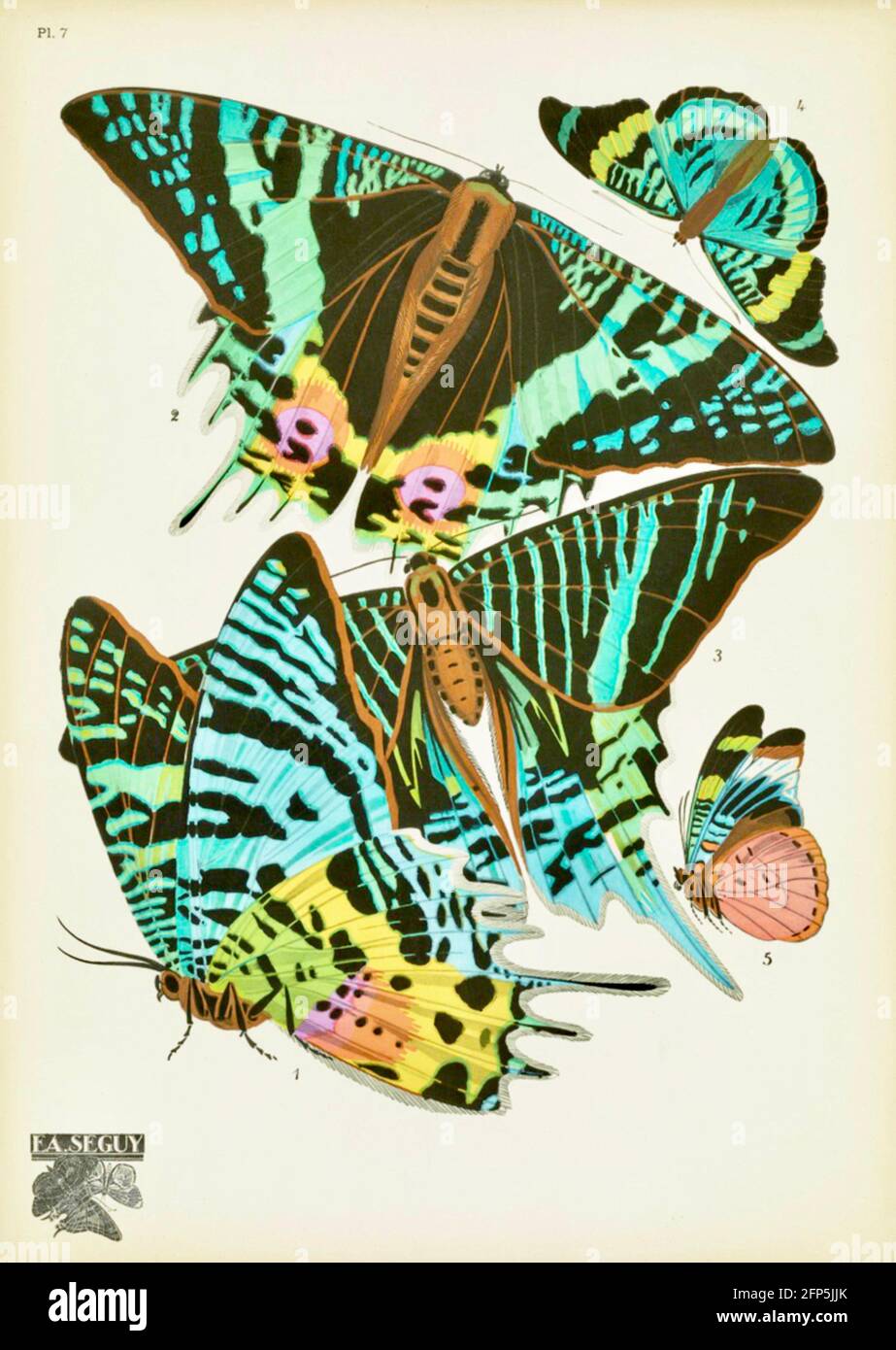 Seguy art hi-res stock photography and images - Alamy