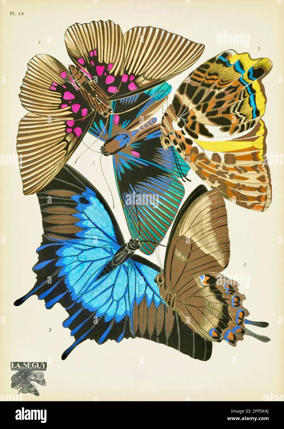 Emile Allain Séguy decorative butterfly artwork from the 1920's Stock ...
