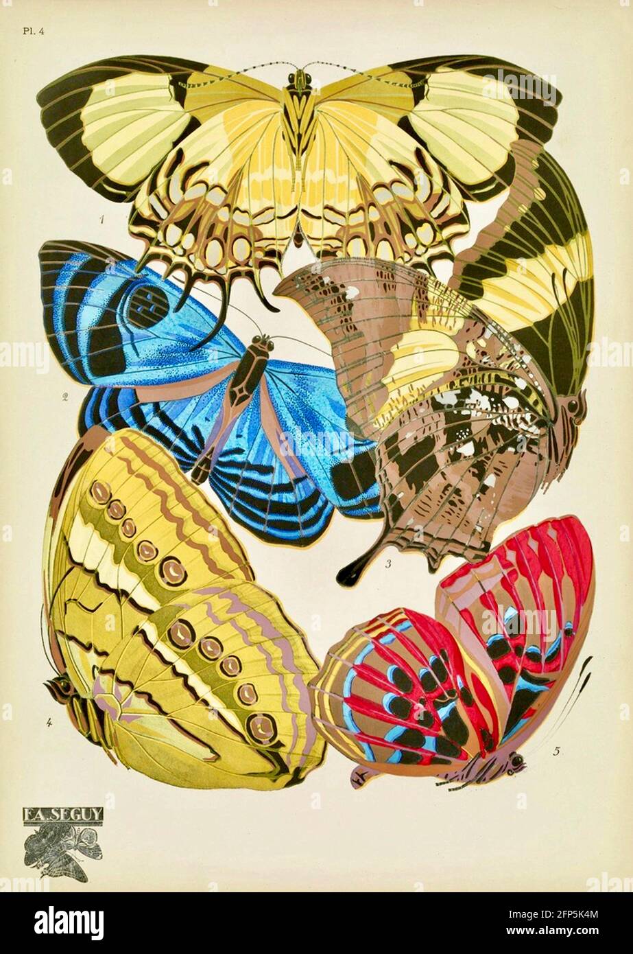 Emile Allain Séguy decorative butterfly artwork from the 1920's Stock ...
