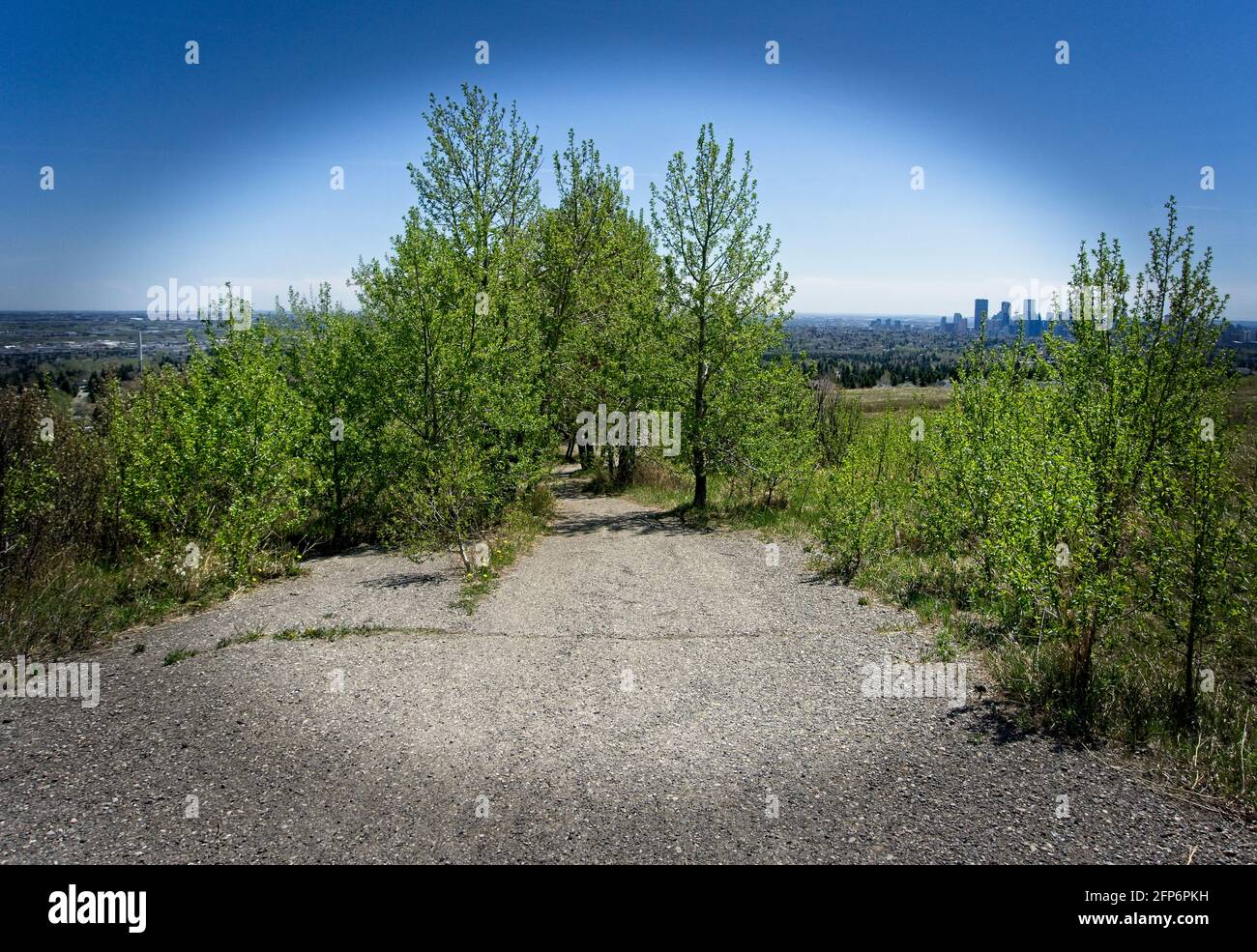 Nose hill natural environment park hi-res stock photography and images ...