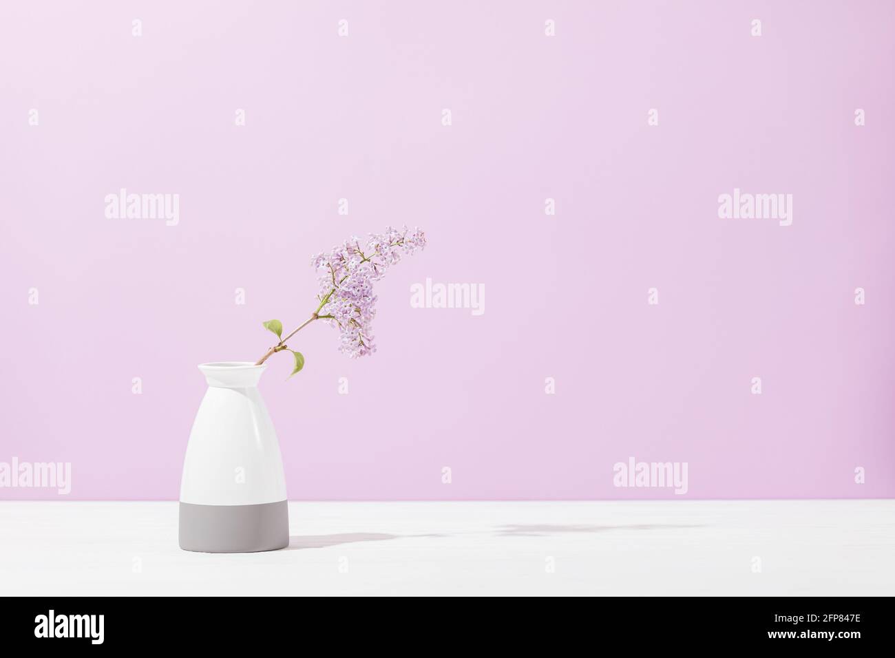Flower branch of lilac in vase against background of light purple wall ...