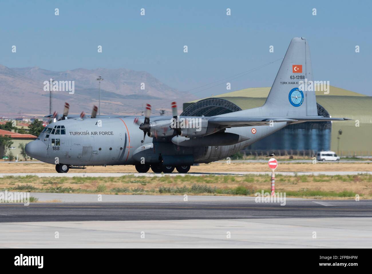 Tiger meet hi-res stock photography and images - Alamy