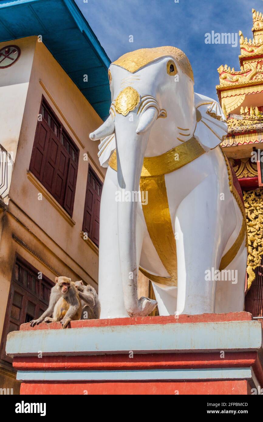 White elephant myanmar hi-res stock photography and images - Alamy