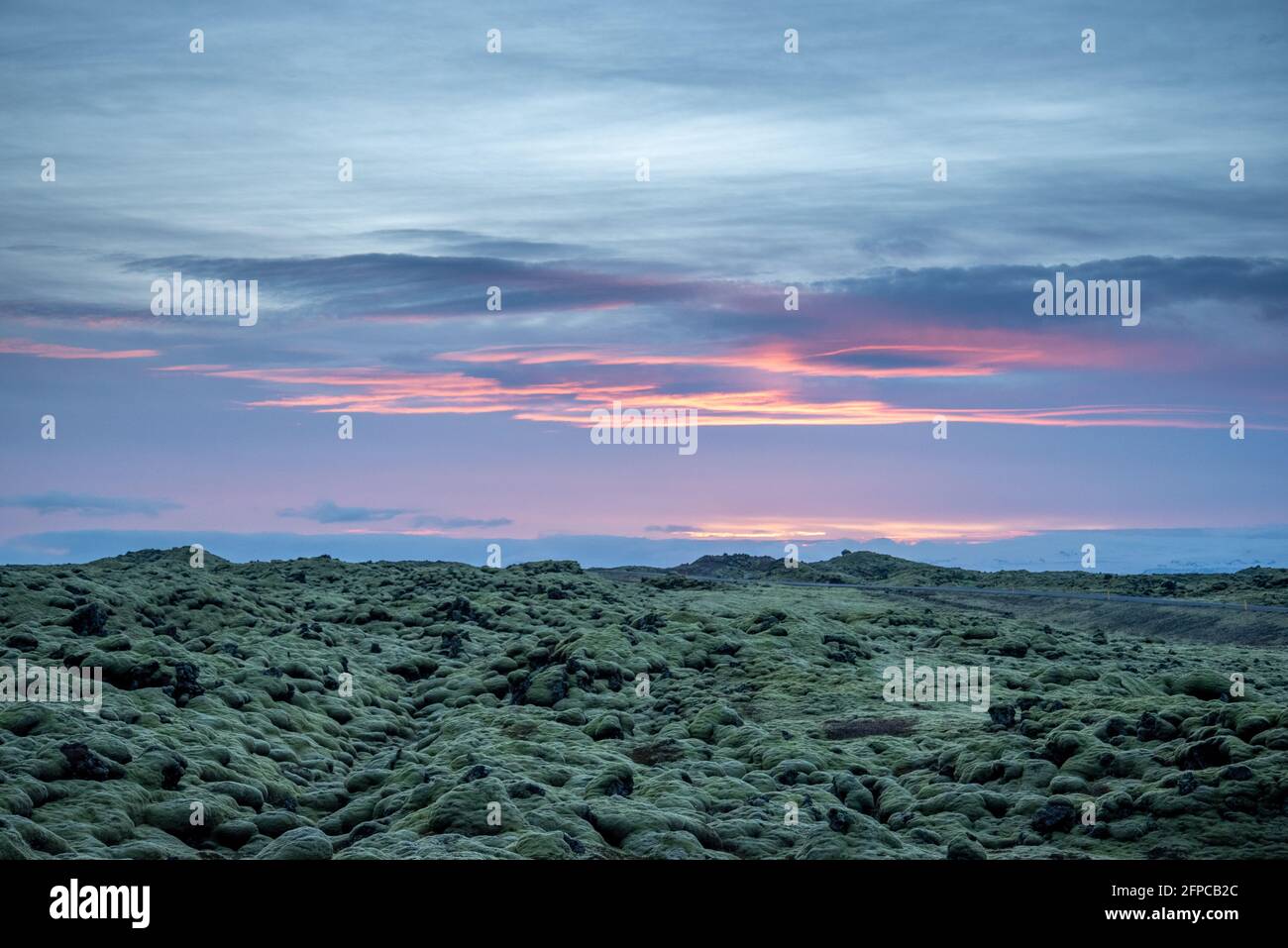 Icelandic landscape photo at sunset with volcanic rock field covered in ...
