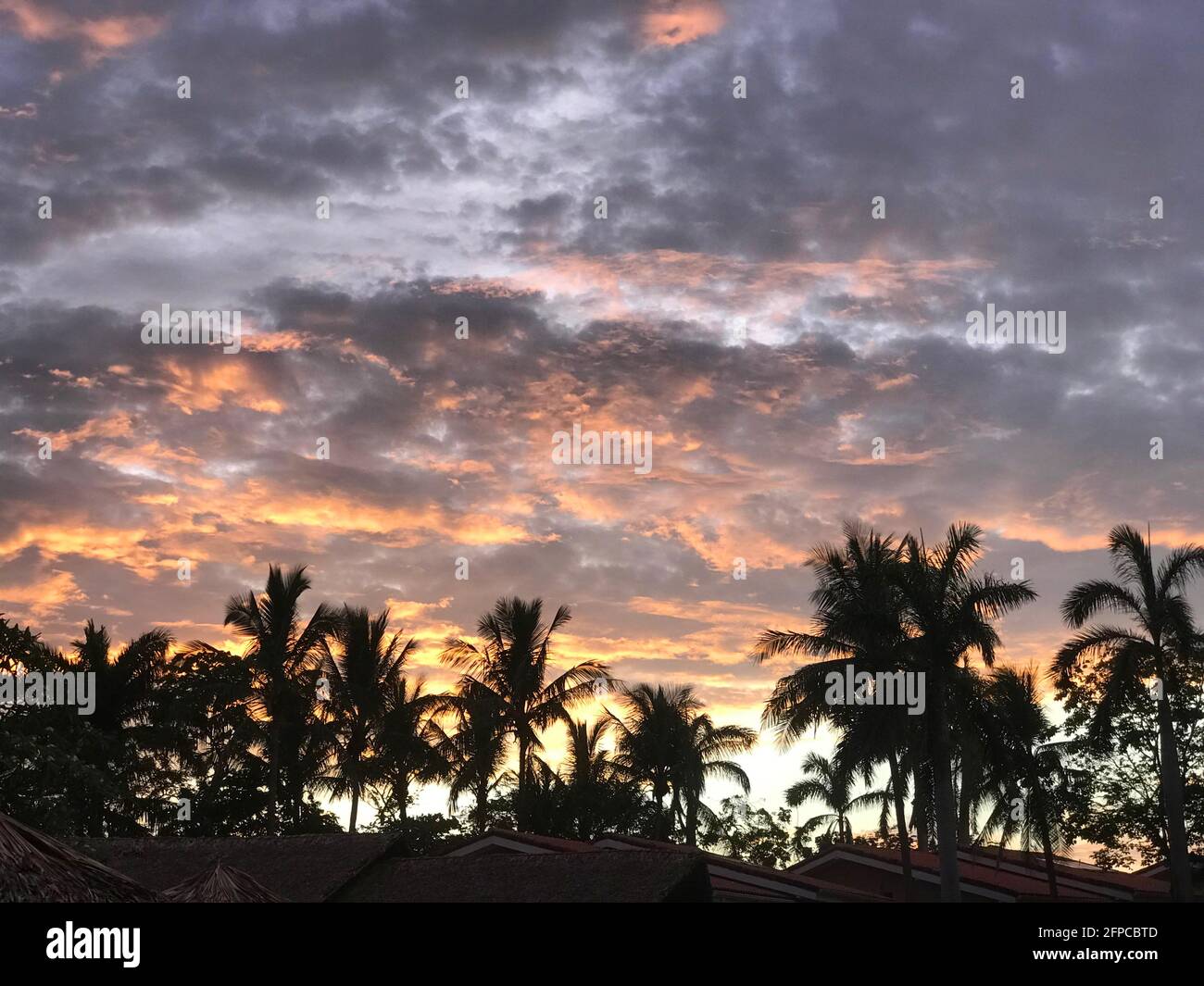 Tropical palms and colorful sunset in Costa Rica Stock Photo - Alamy