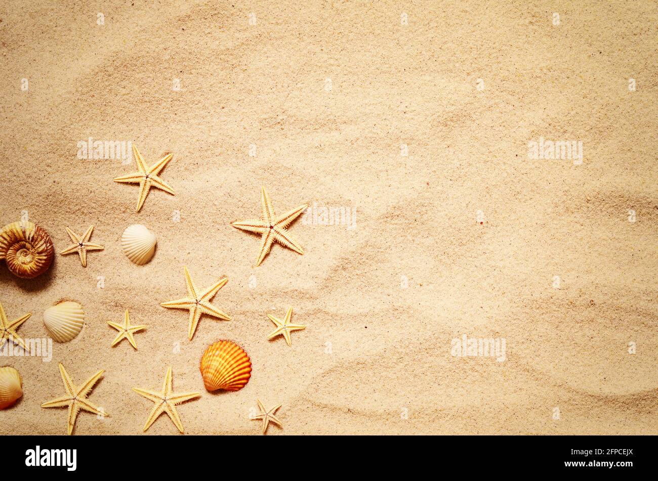 Seashell and starfish pattern on the sandy beach. Summer background ...