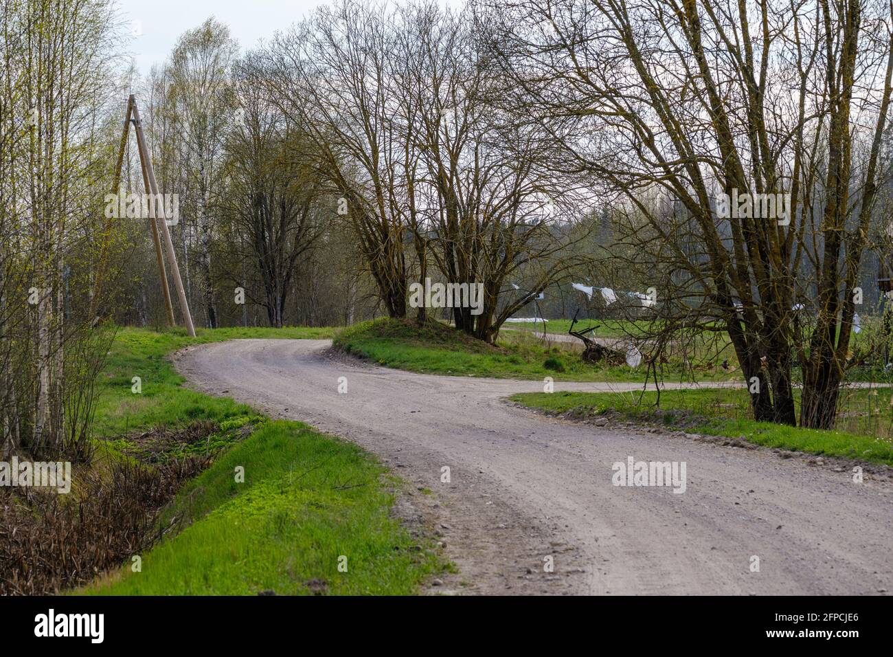 narrow countryside forest road with gravel surface and green foliage ...