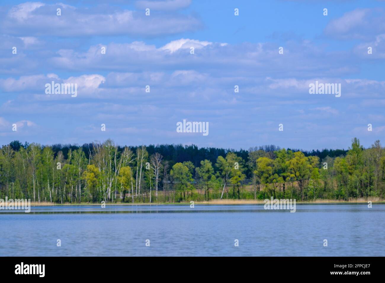 wide river landscape scene with large body of water, blue reflections ...