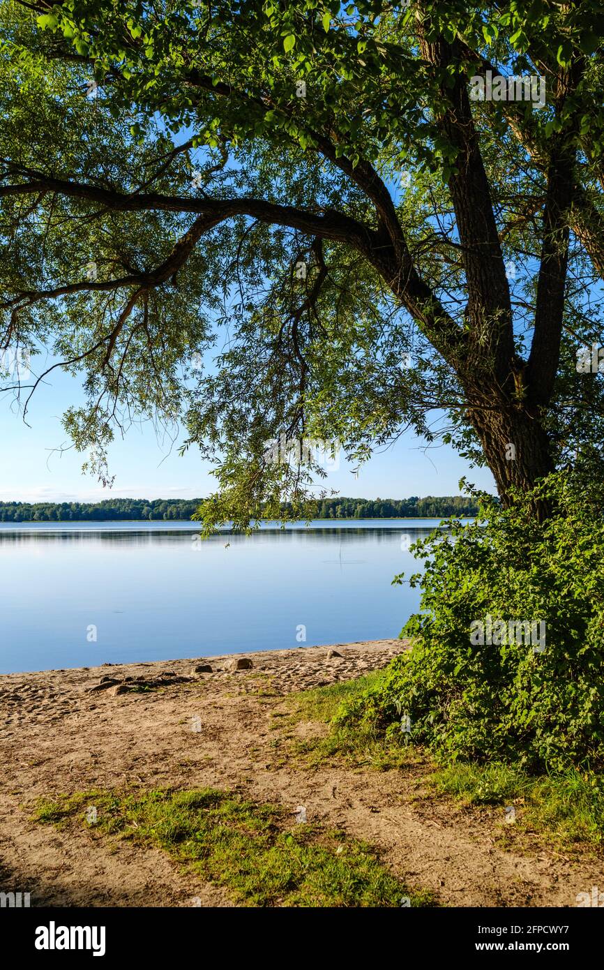 wide river landscape scene with large body of water, blue reflections ...