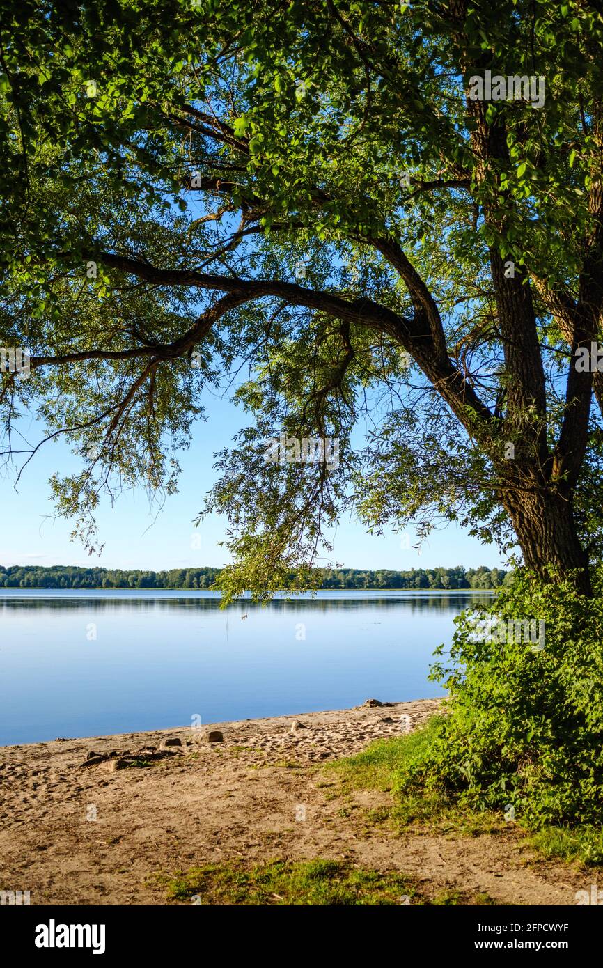 wide river landscape scene with large body of water, blue reflections ...