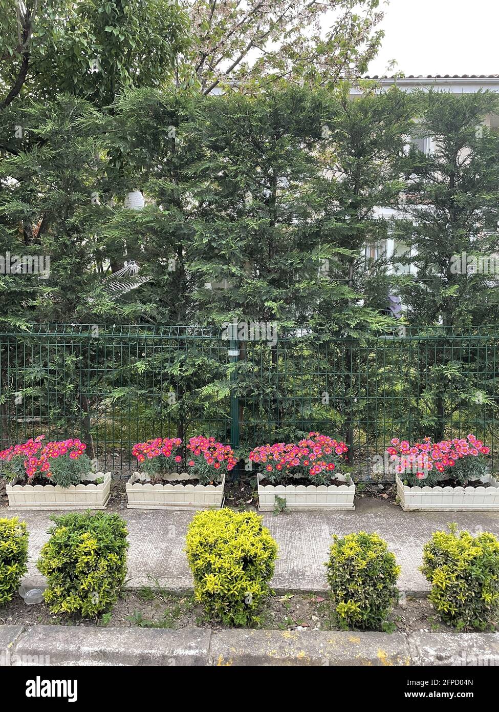 Beautiful bushes and flowering plants in the sidewalks by the botanical ...