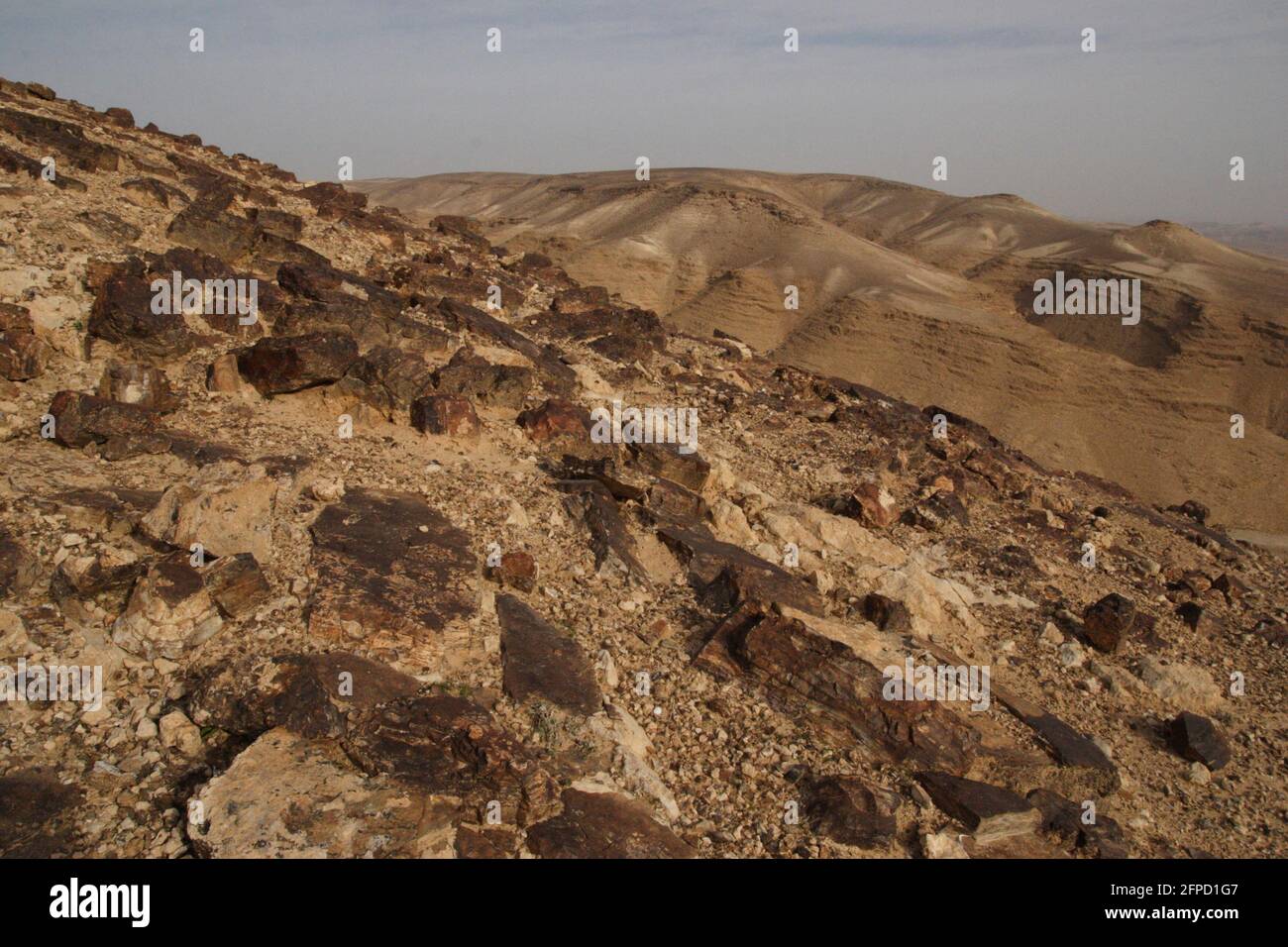 Arid terrain hi-res stock photography and images - Alamy