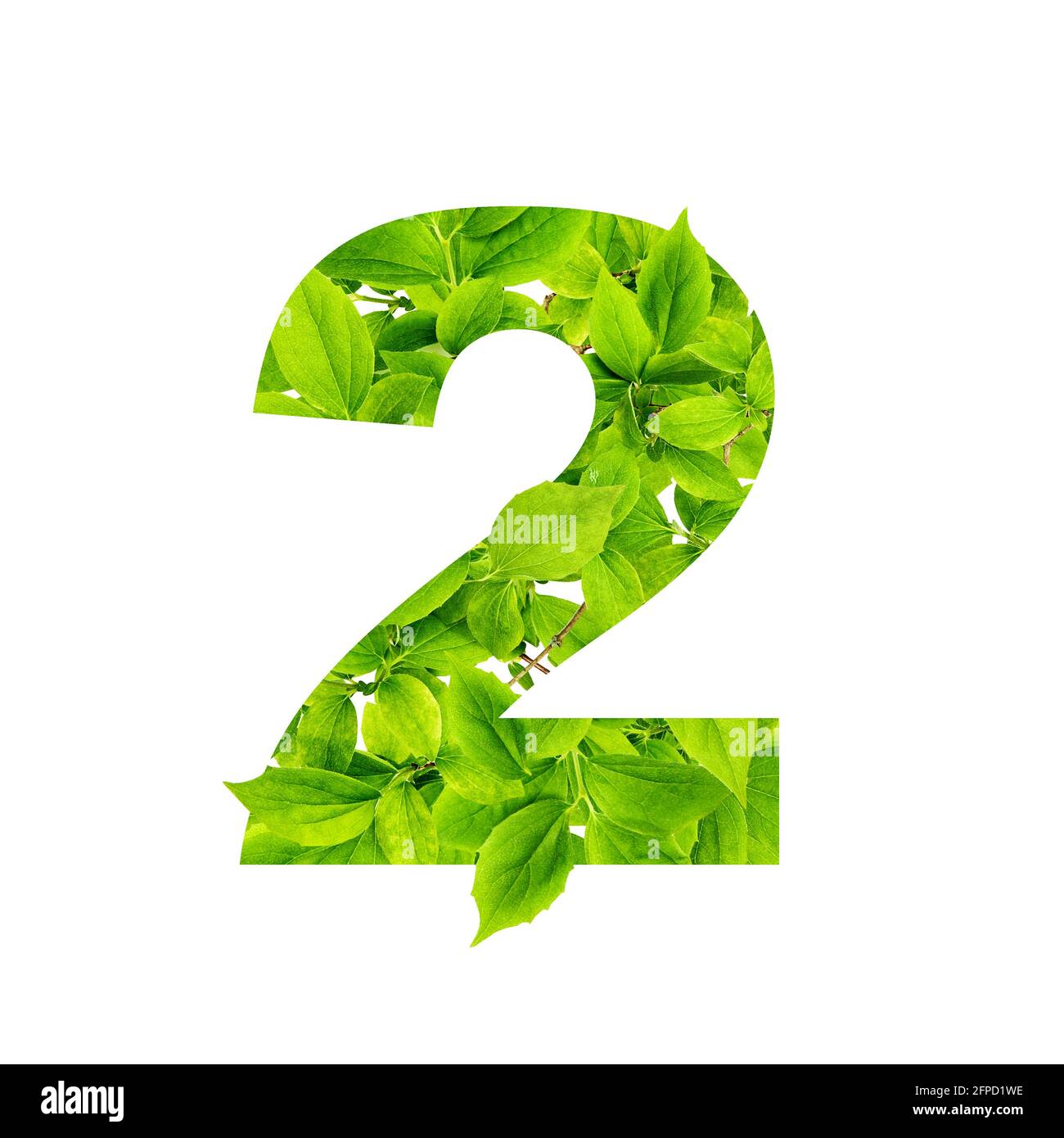Number two from green leaves. Creative spring concept. Shape number two ...