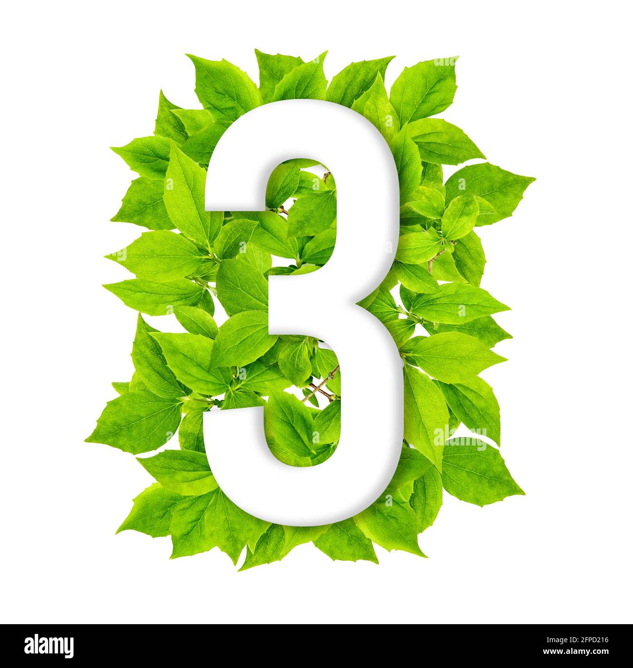 Number three shape with green leaves. Creative nature concept. Shape ...