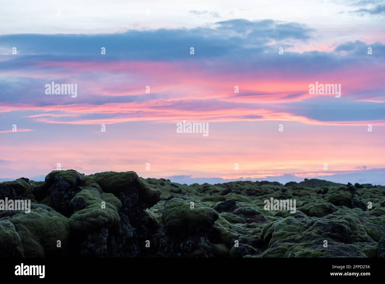 Icelandic landscape photo at sunset with volcanic rock field covered in ...