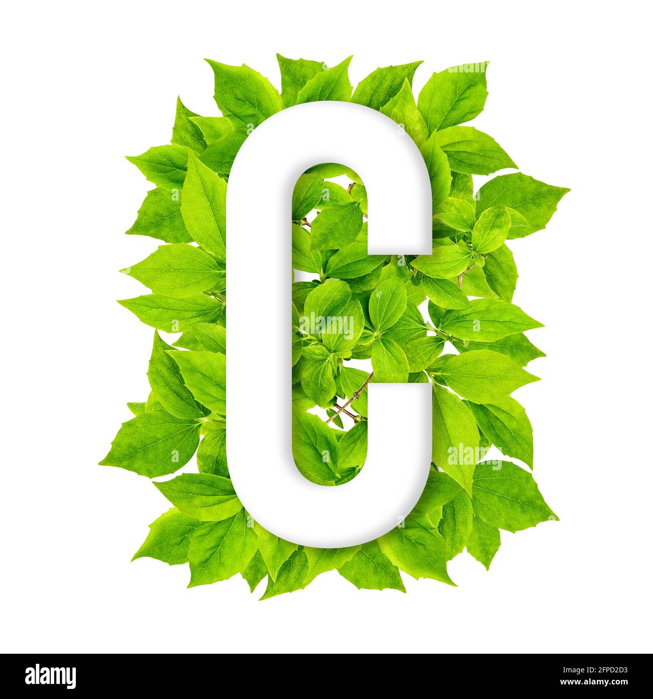Letter C with green leaves background. ABC floral alphabet Stock Photo ...