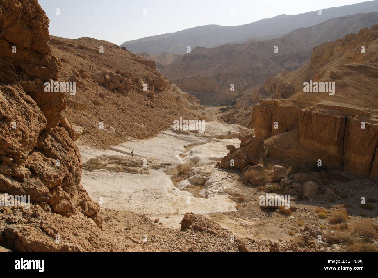 Nachal tzafit hi-res stock photography and images - Alamy
