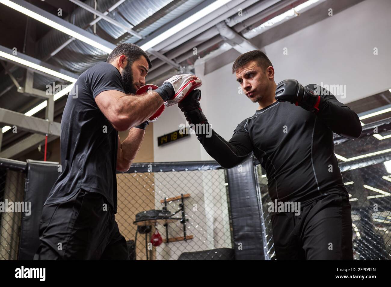 Mixed martial artists training before fight, practice kickboxing ...