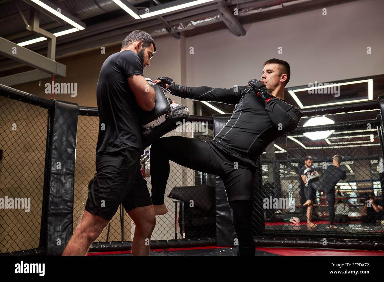 Mixed martial artists training before fight, practice kickboxing ...