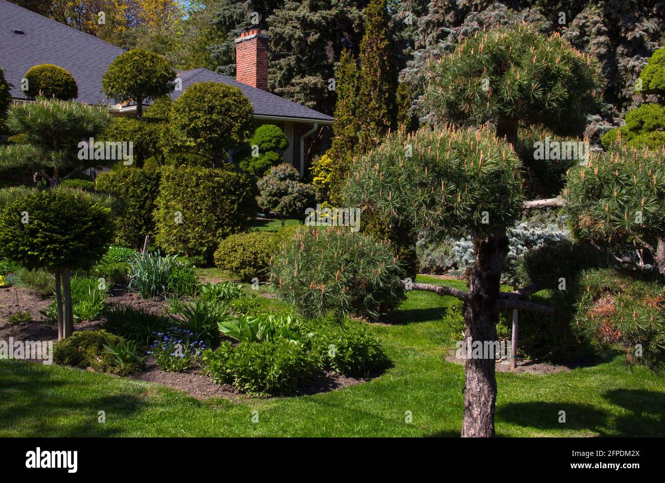 Manicured trees lawn hi-res stock photography and images - Alamy
