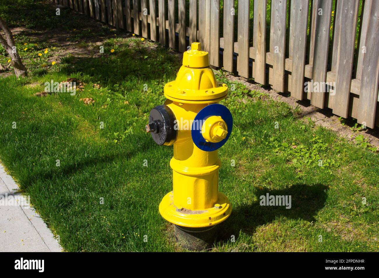 New fire hydrant Stock Photo - Alamy