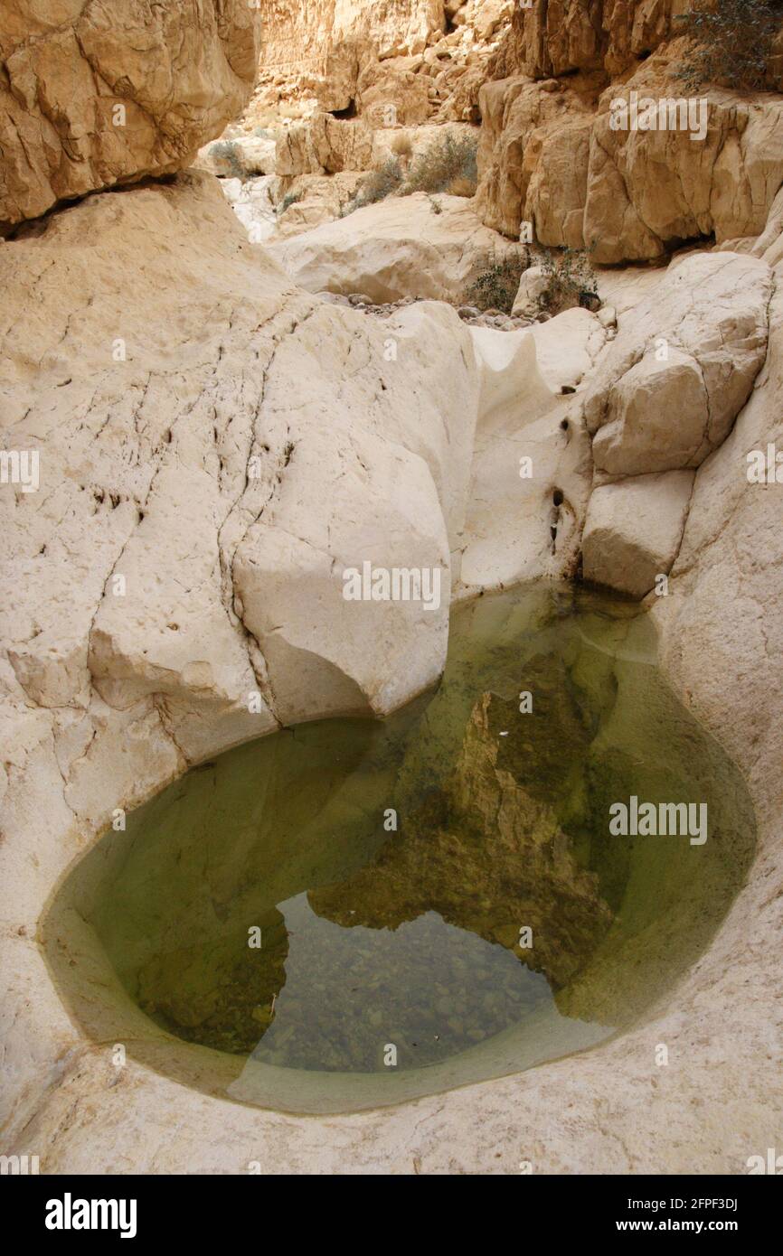 Water pool or rain pool in a hole in dry riverbed rock in the Judean ...