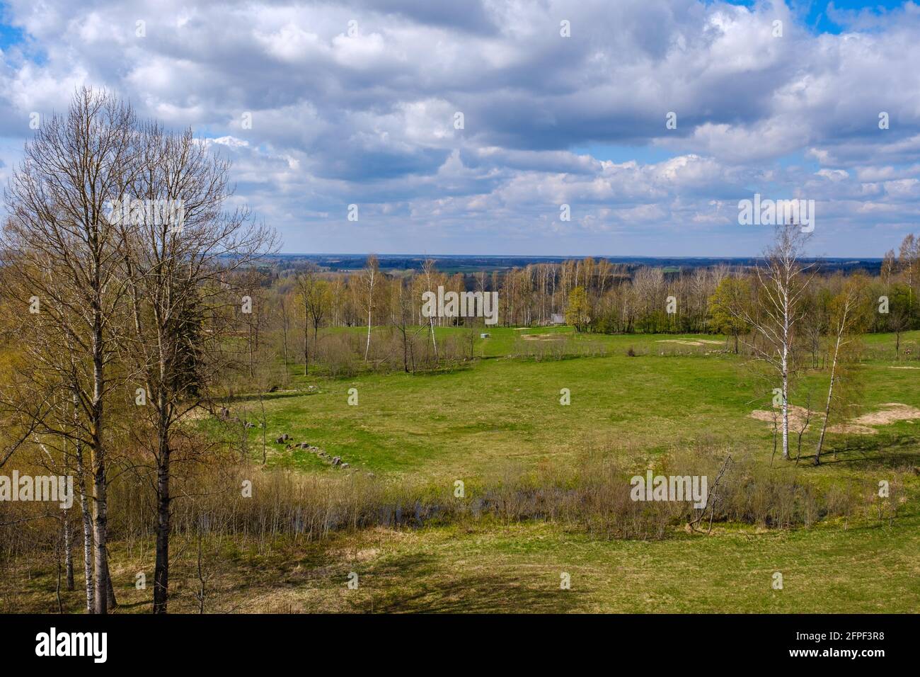 spring summer fields in countryside with forest in background. green ...