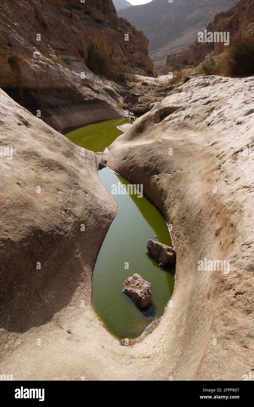 Water pool or rain pool in a hole in a dry riverbed rock in the Negev ...