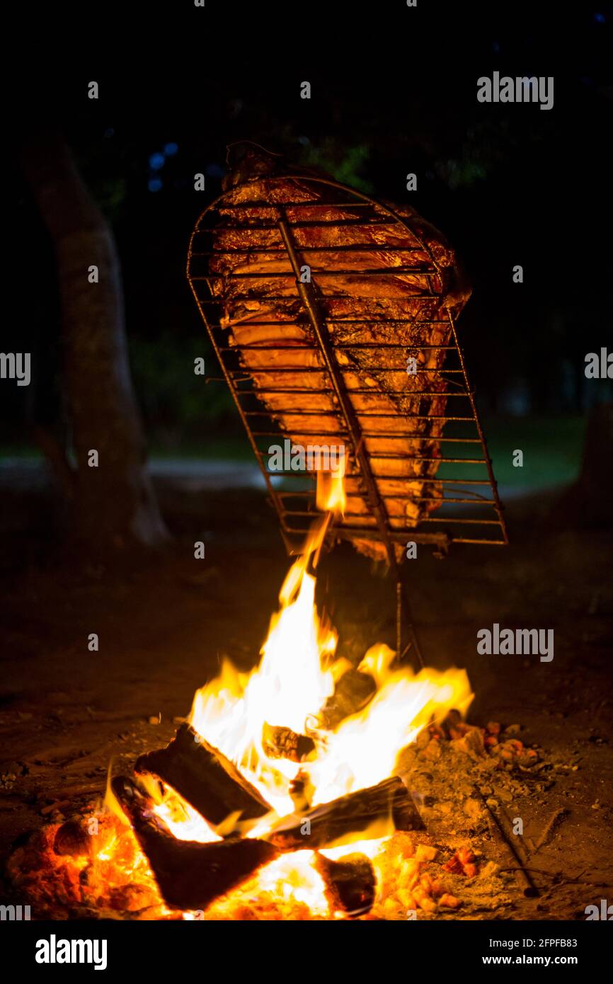 Meat on the spit or asado in the stake. Bbq. Grill on the coals ...