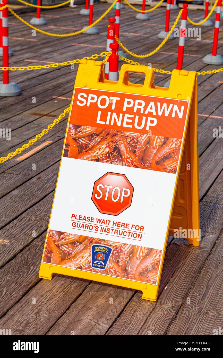 Food line up hi-res stock photography and images - Alamy