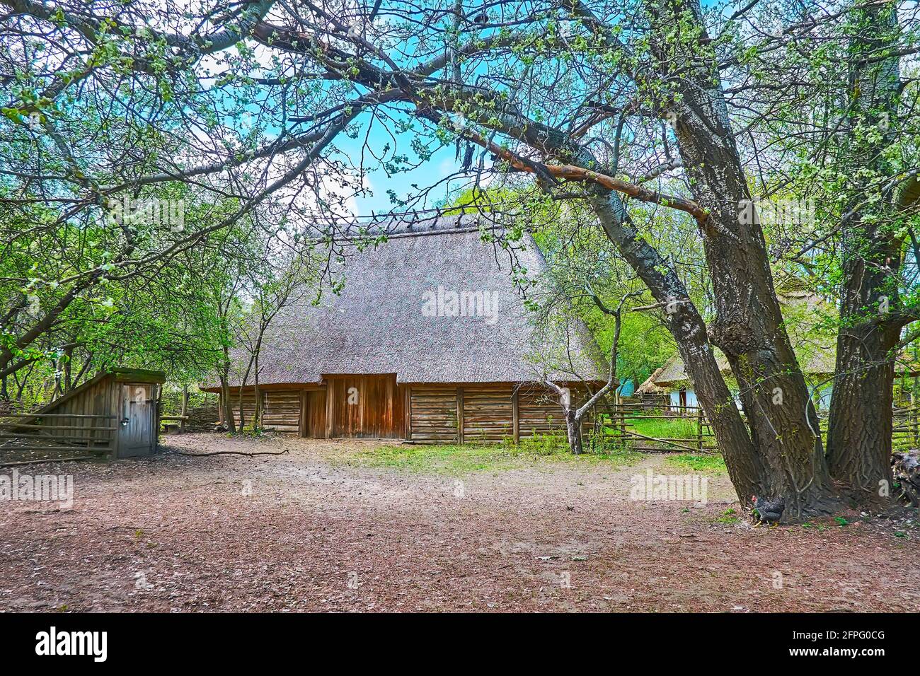 The old wooden barn with tall thatched roof, Mamajeva Sloboda Cossack ...