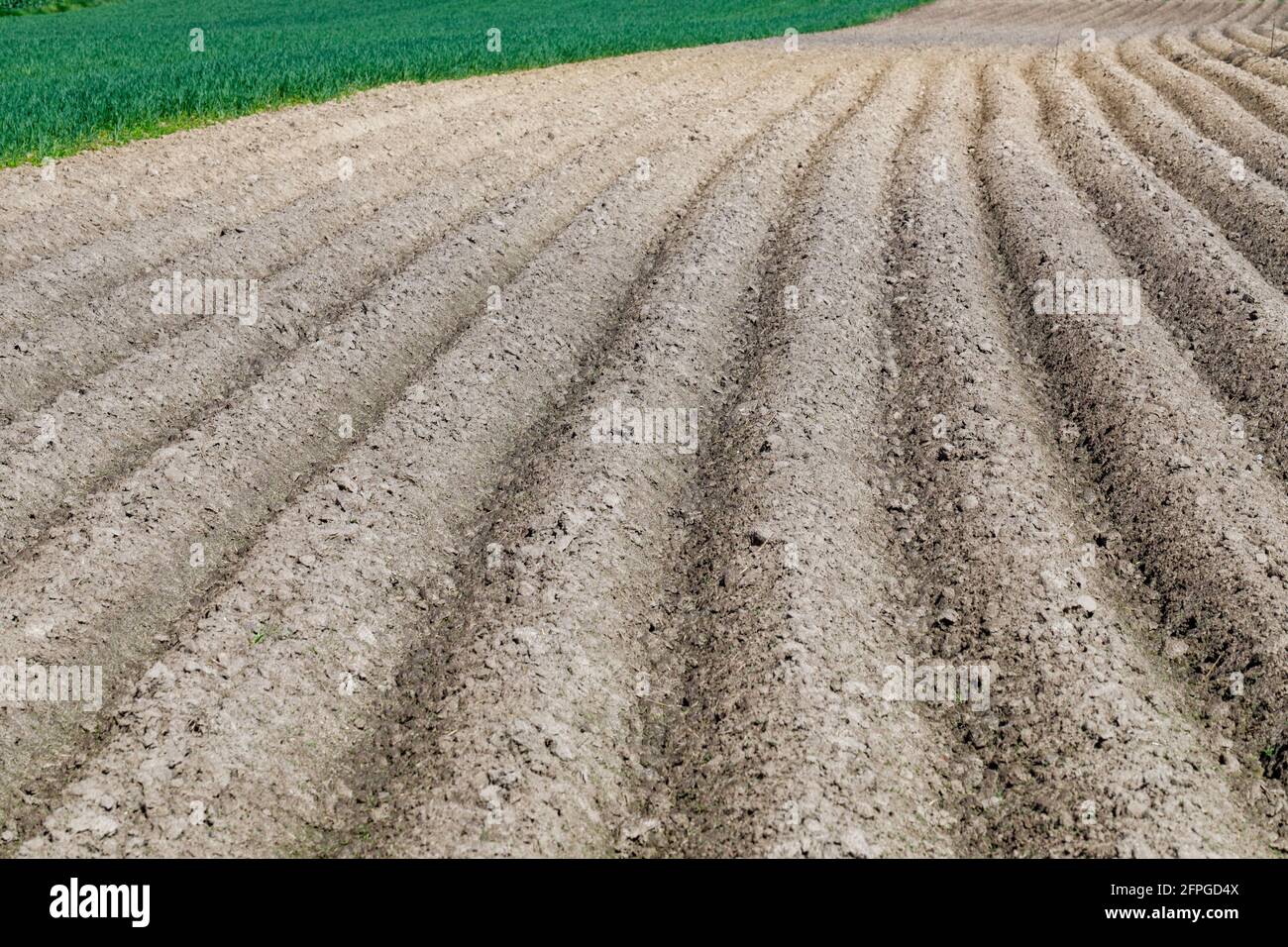 Freshly plowed fields, Agriculture and land cultivation concept Stock ...
