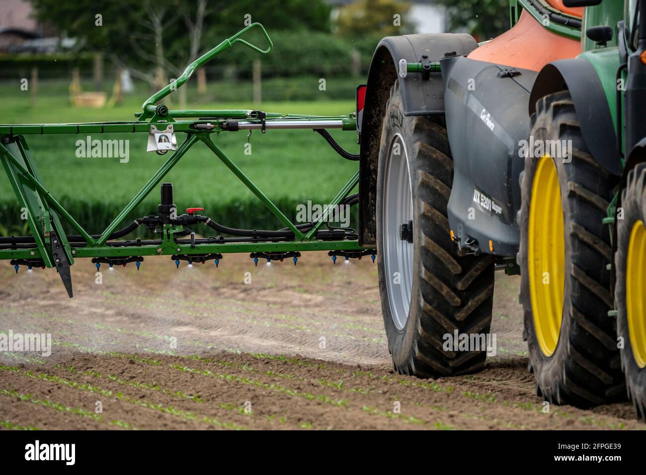 Agriculture, pesticide is sprayed on a field, sugar beet seedlings, NRW ...