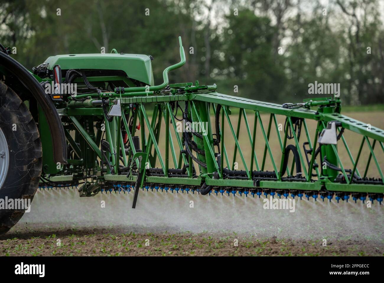 Agriculture, pesticide is sprayed on a field, sugar beet seedlings, NRW ...