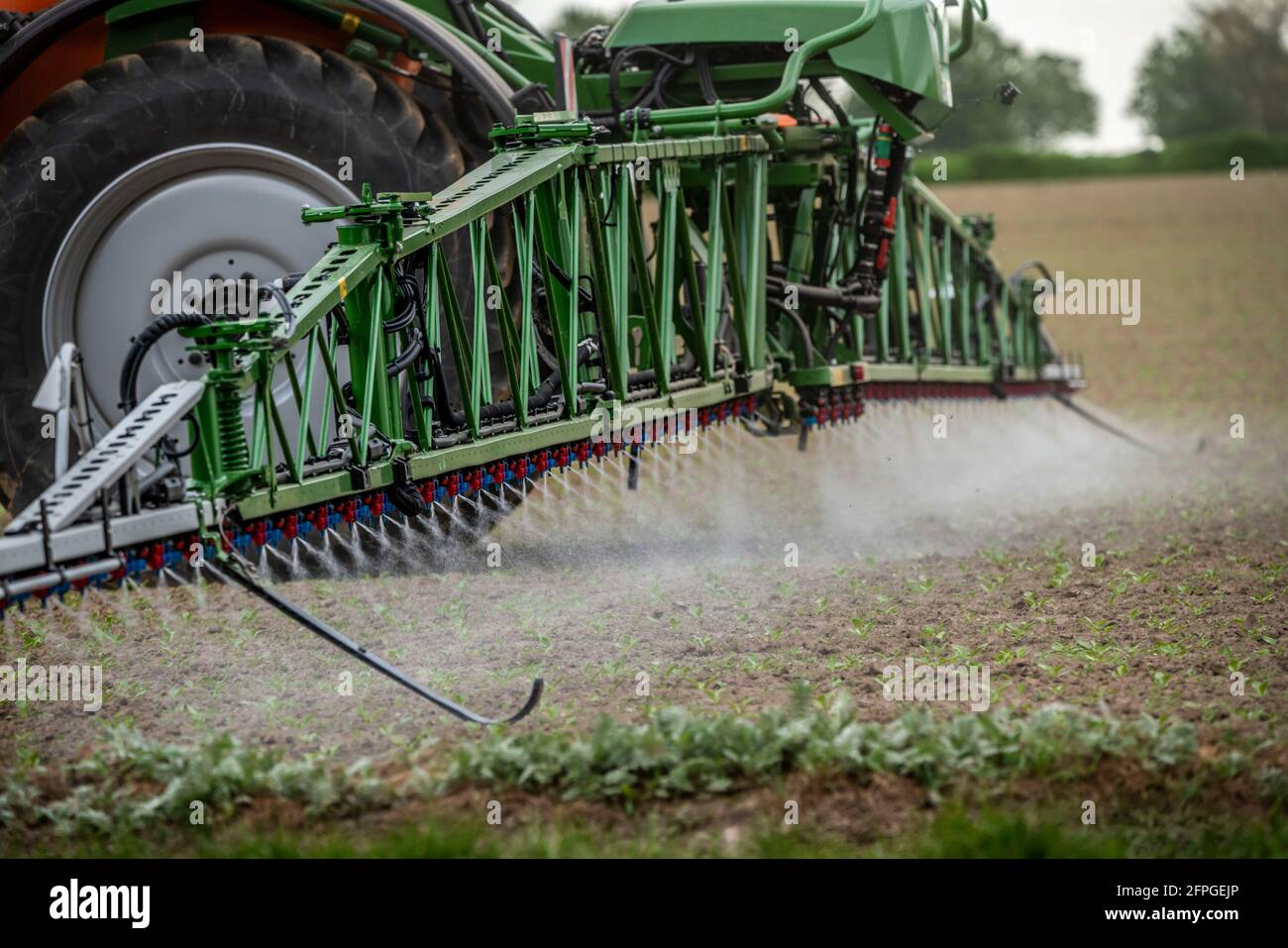 Agriculture, pesticide is sprayed on a field, sugar beet seedlings, NRW ...