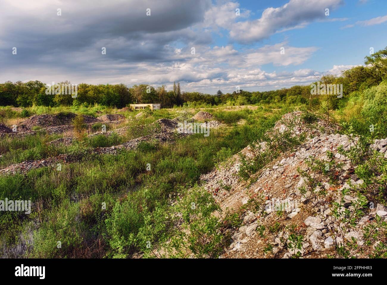 vegetation grown on mounds of rubble from a demolished building Stock ...