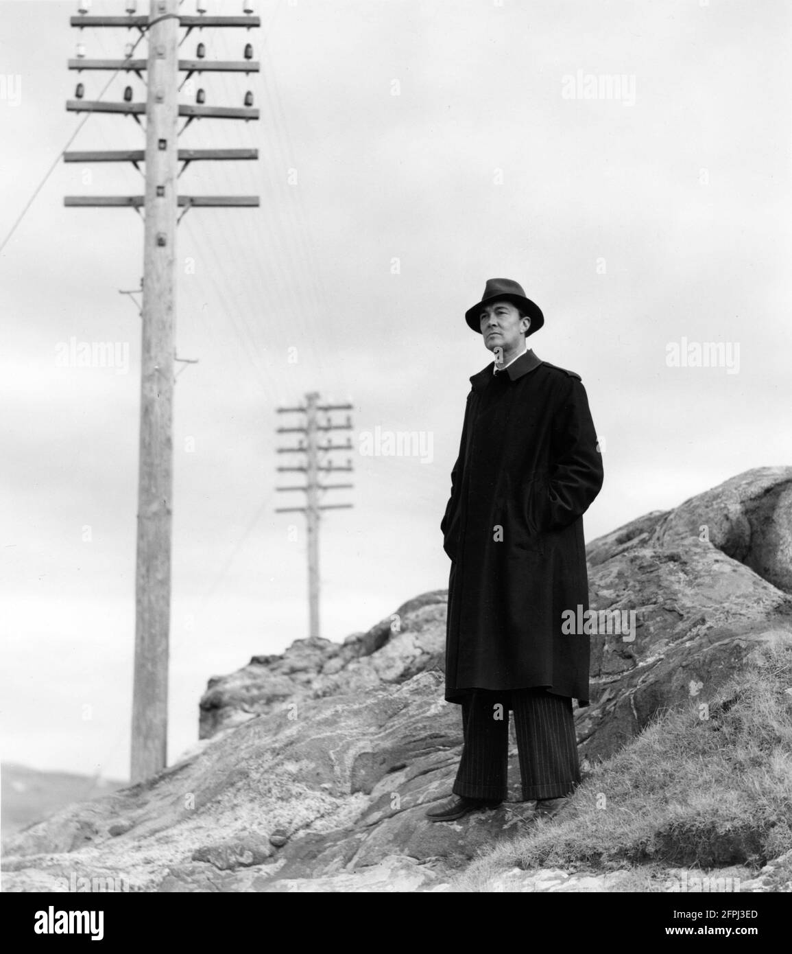 Henry angus hi-res stock photography and images - Alamy