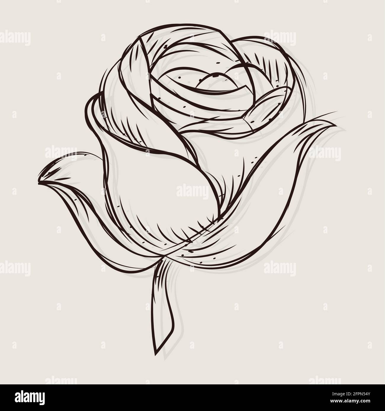 Sketch of a rose flower Vector illustration Stock Vector Image & Art ...