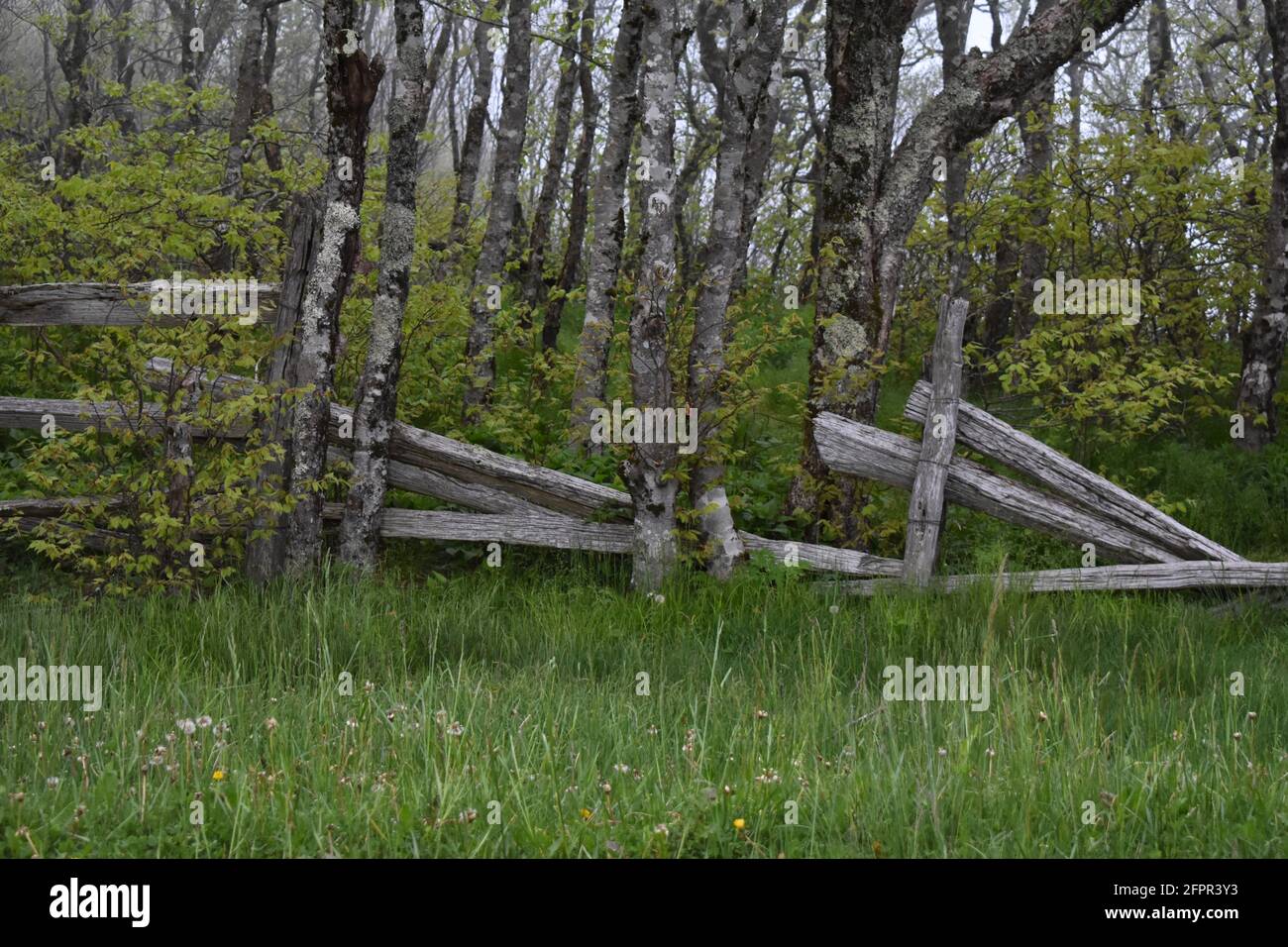 broken split rail fence on the Blue Ridge Parkway Stock Photo - Alamy