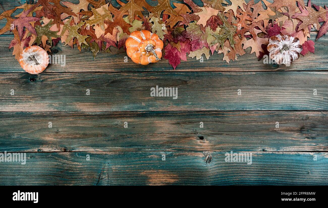Top border of fading autumn leaves and pumpkin on rustic blue wooden ...