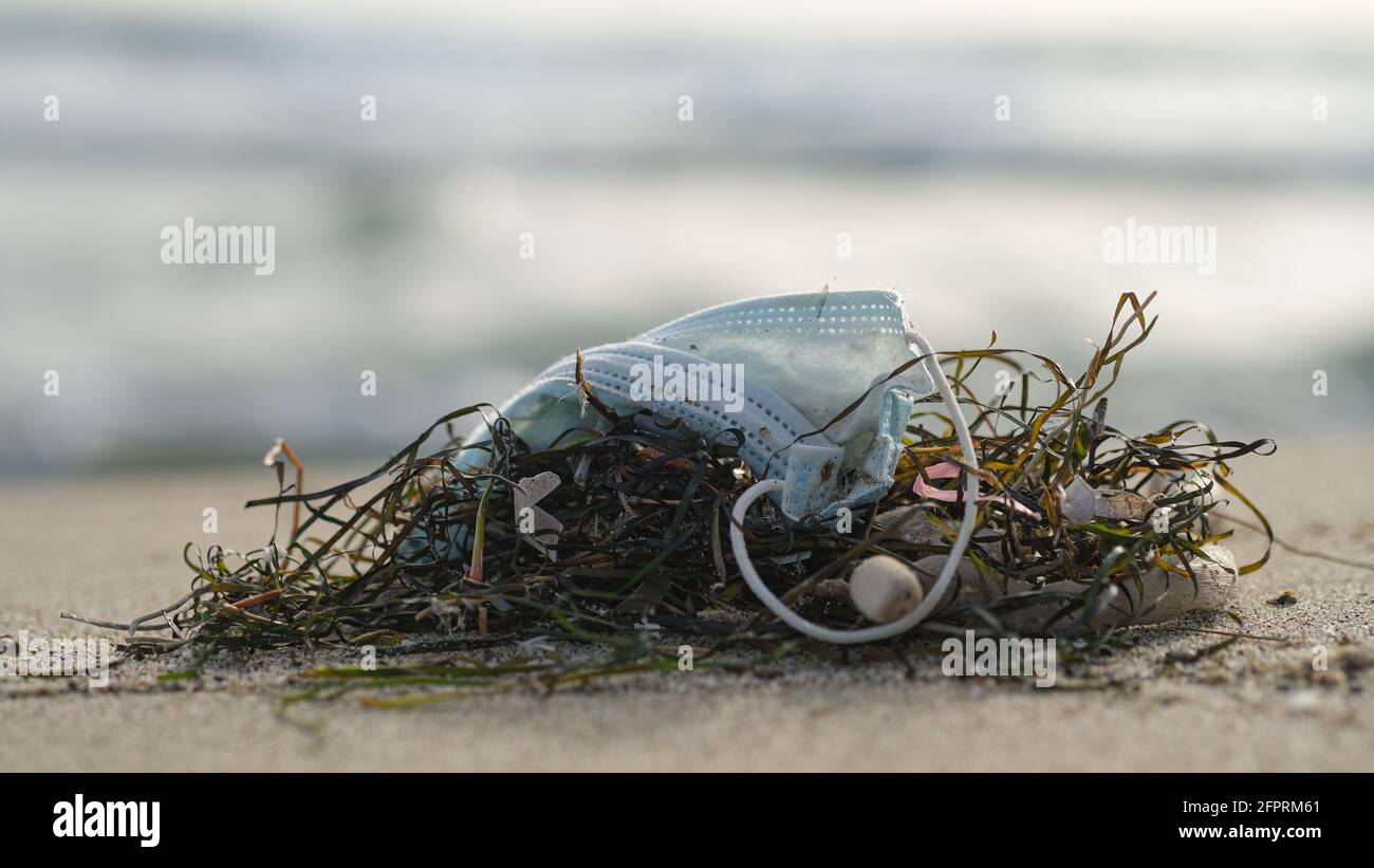 Marine ecosystem view hi-res stock photography and images - Alamy