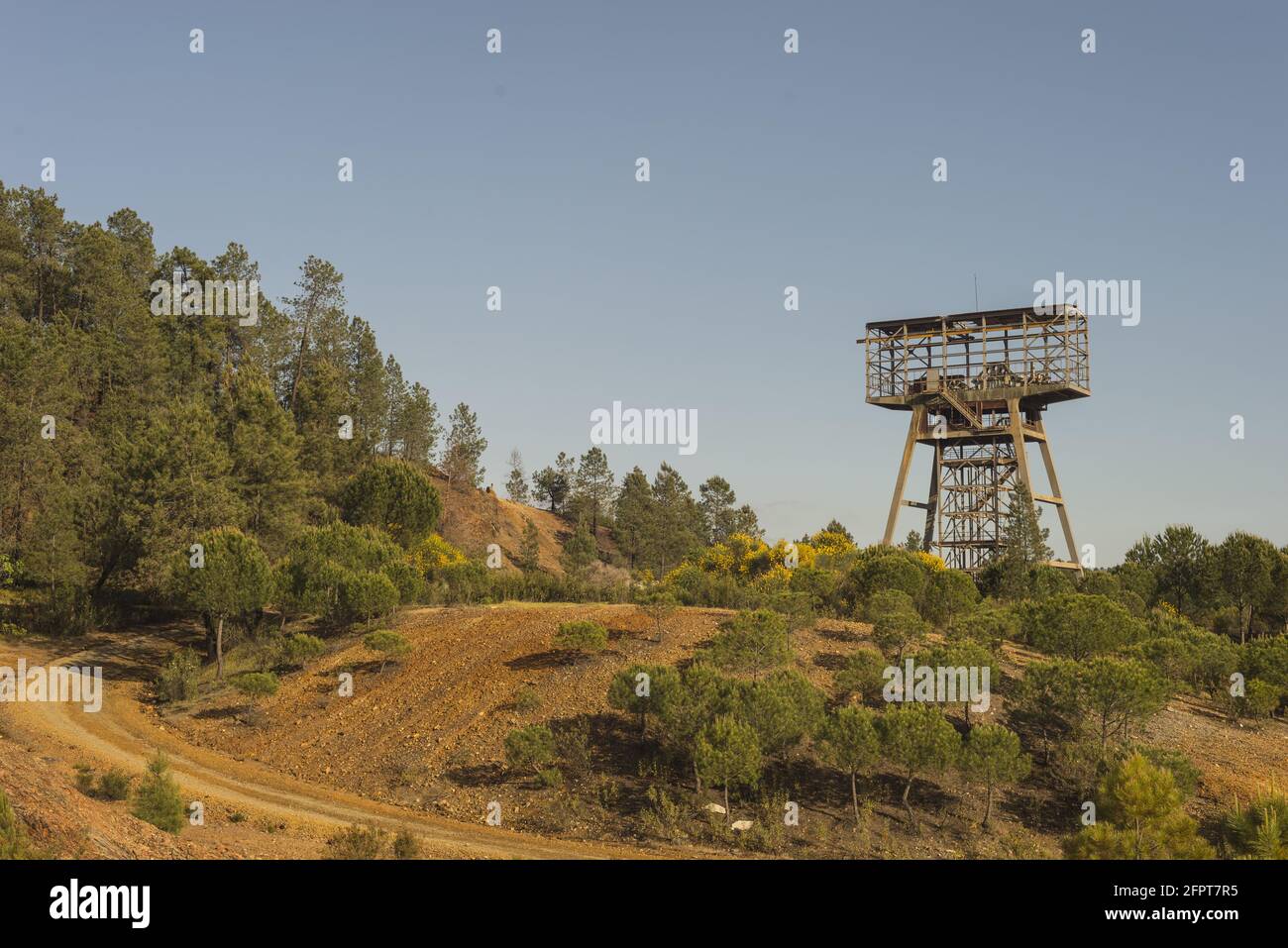 Lookout in a field covered in greenery under the sunlight in the ...