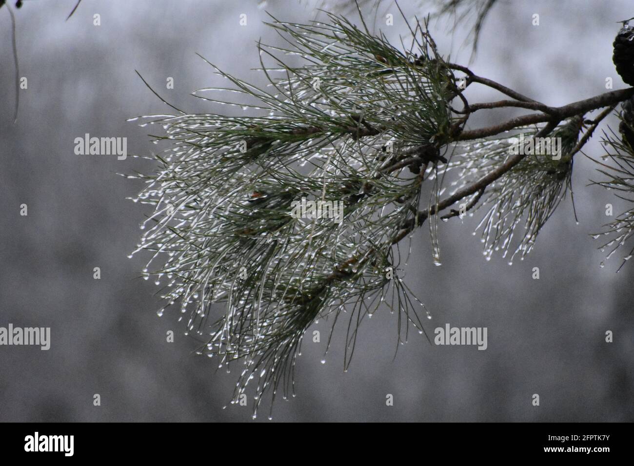 The neddles hi-res stock photography and images - Alamy