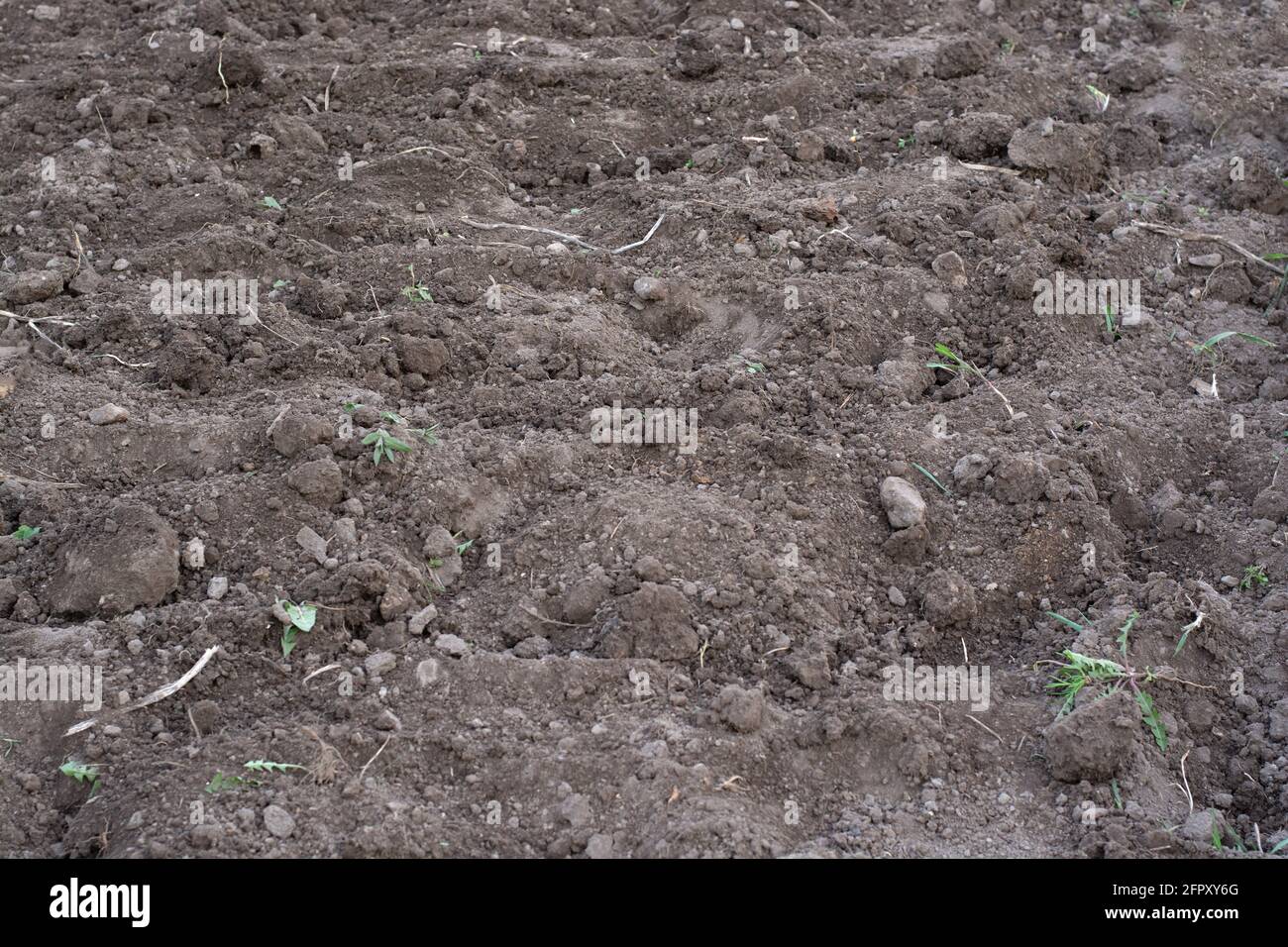 excavated land for planting vegetables Stock Photo - Alamy